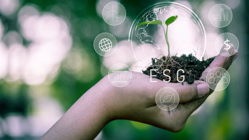 Pierce Vasale on LinkedIn: Strategy, goals, and emissions data Pierce Vasale on LinkedIn: Strategy, goals, and emissions data