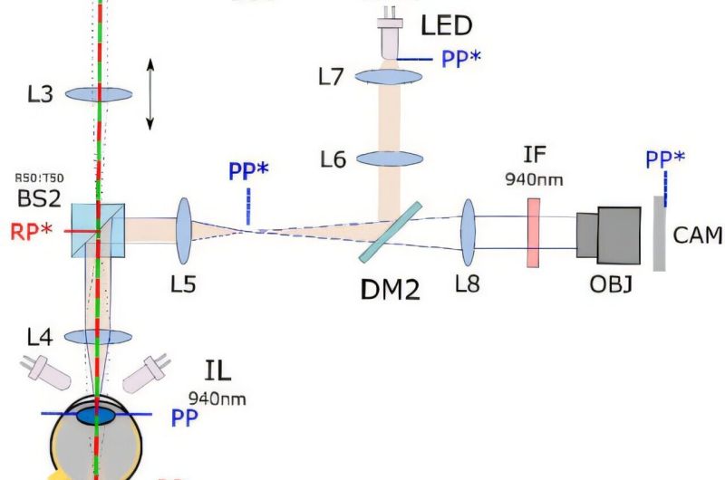 Phys.org on LinkedIn: Scientists decipher two-photon vision Phys.org on LinkedIn: Scientists decipher two-photon vision