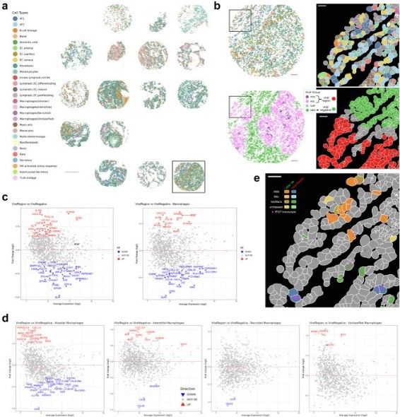NanoString Technologies, Inc. on LinkedIn: 🔬 Exciting News in single ... NanoString Technologies, Inc. on LinkedIn: 🔬 Exciting News in single ...