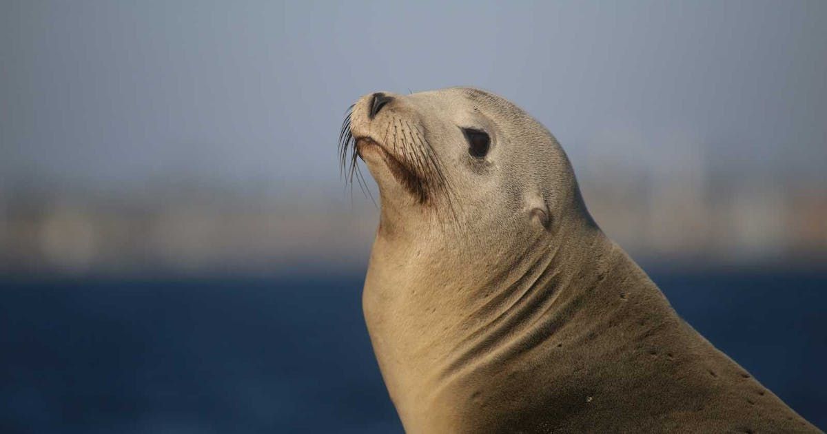 MinervaDB on LinkedIn: Troubleshooting MariaDB Blocked Threads MinervaDB on LinkedIn: Troubleshooting MariaDB Blocked Threads
