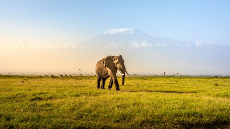 MinervaDB on LinkedIn: Harnessing PostgreSQL Parallel Labeling ... MinervaDB on LinkedIn: Harnessing PostgreSQL Parallel Labeling ...