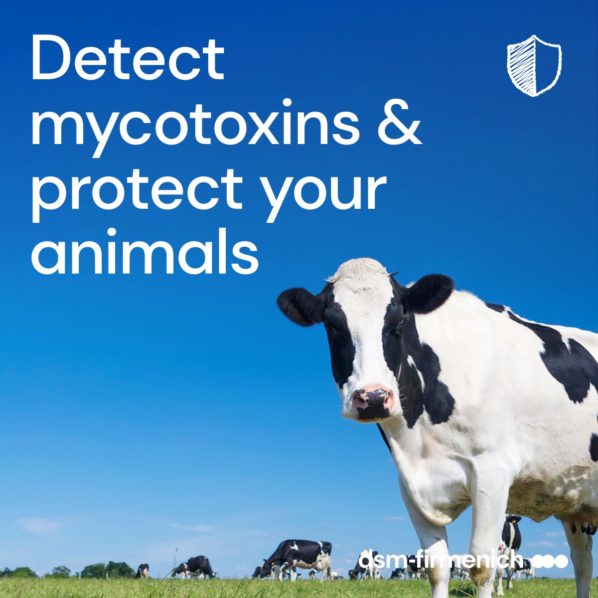 dsm-firmenich Animal Nutrition & Health on LinkedIn: Mycotoxin Analysis dsm-firmenich Animal Nutrition & Health on LinkedIn: Mycotoxin Analysis