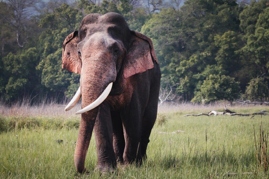Implementing Connection Pooling in PostgreSQL with PgBouncer | MinervaDB Implementing Connection Pooling in PostgreSQL with PgBouncer | MinervaDB