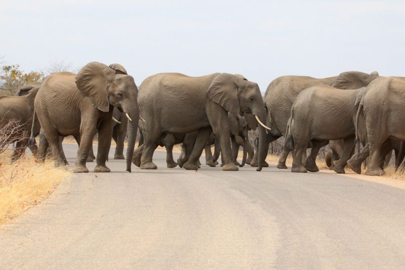 How to Identify and Tune PostgreSQL Performance Issues Using Wait ... How to Identify and Tune PostgreSQL Performance Issues Using Wait ...