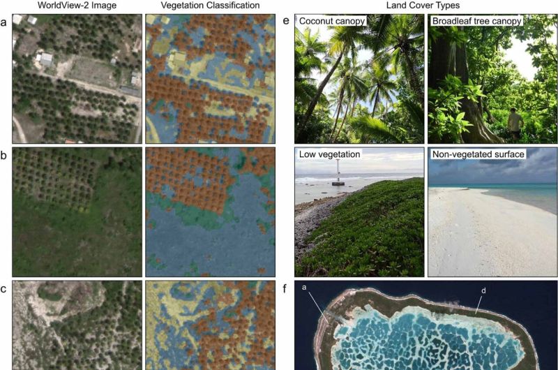 Phys.org on LinkedIn: After decades of plantation agriculture, coconut ... Phys.org on LinkedIn: After decades of plantation agriculture, coconut ...