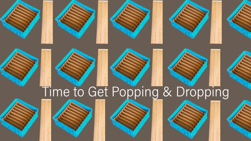 Pop them open and protect your packaging. #PackagingInnovation # ... Pop them open and protect your packaging. #PackagingInnovation # ...
