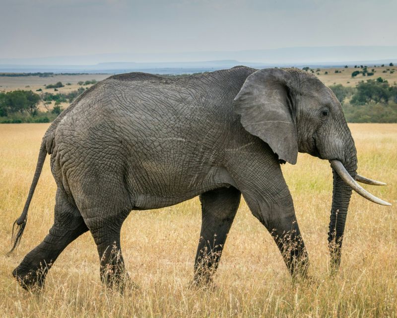 Hyperbolic Principle for PostgreSQL Performance | MinervaDB Hyperbolic Principle for PostgreSQL Performance | MinervaDB
