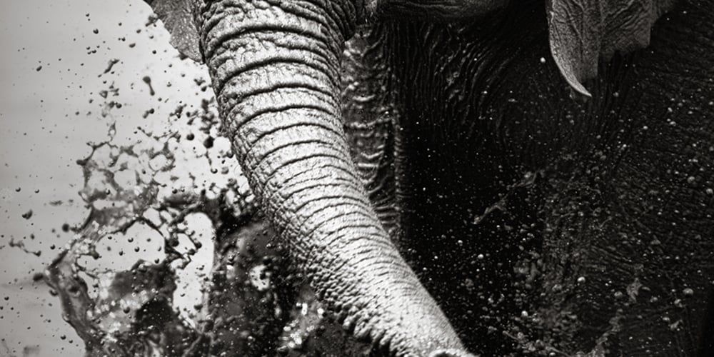 MinervaDB on LinkedIn: Mastering Bound Queries in PostgreSQL: A Step-by ... MinervaDB on LinkedIn: Mastering Bound Queries in PostgreSQL: A Step-by ...