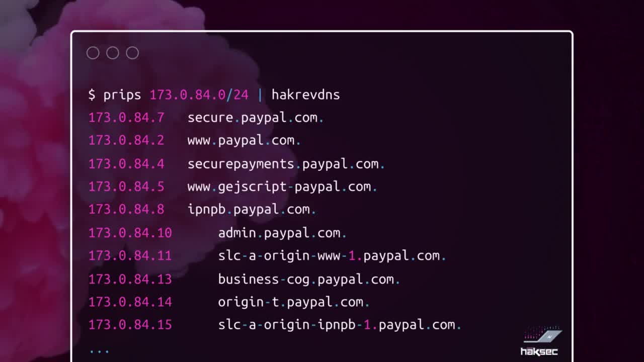 How to perform reverse DNS lookups en masse with hakrevdns! 🚀 You feed ... How to perform reverse DNS lookups en masse with hakrevdns! 🚀 You feed ...