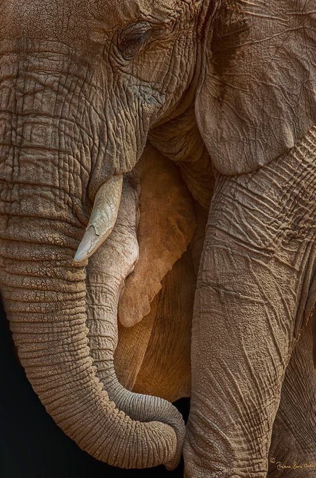 United States PostgreSQL Association on LinkedIn: Become a member United States PostgreSQL Association on LinkedIn: Become a member