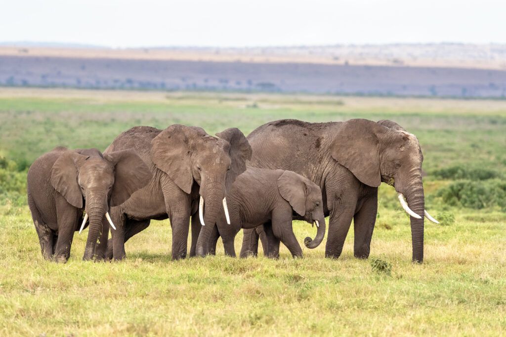 MinervaDB on LinkedIn: PostgreSQL Query Optimizer: Troubleshooting ... MinervaDB on LinkedIn: PostgreSQL Query Optimizer: Troubleshooting ...