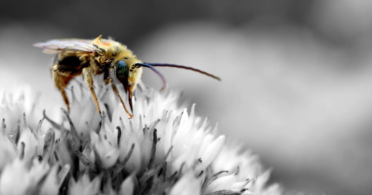 MinervaDB on LinkedIn: Boosting MySQL InnoDB I/O Performance MinervaDB on LinkedIn: Boosting MySQL InnoDB I/O Performance
