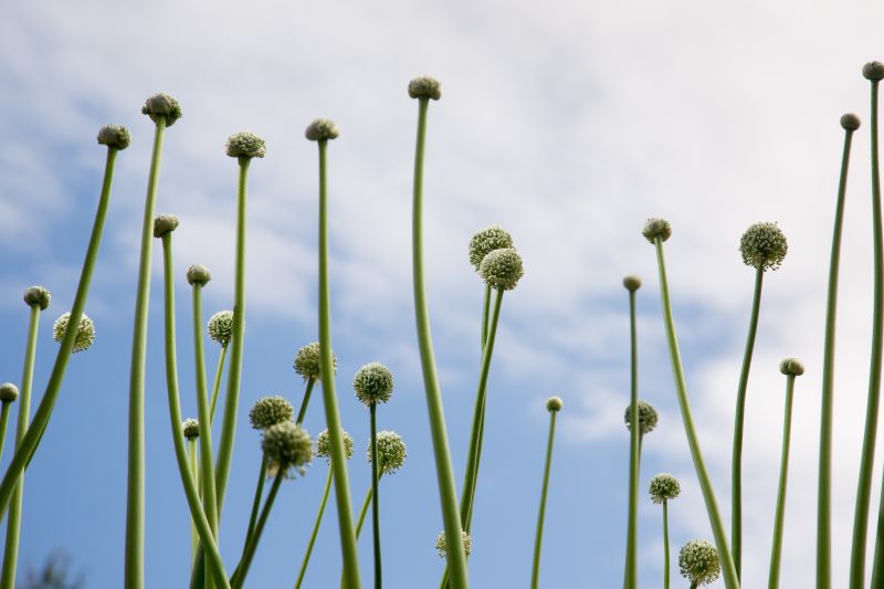 Tasmanian Institute of Agriculture on LinkedIn: Saturday plans sorted ... Tasmanian Institute of Agriculture on LinkedIn: Saturday plans sorted ...