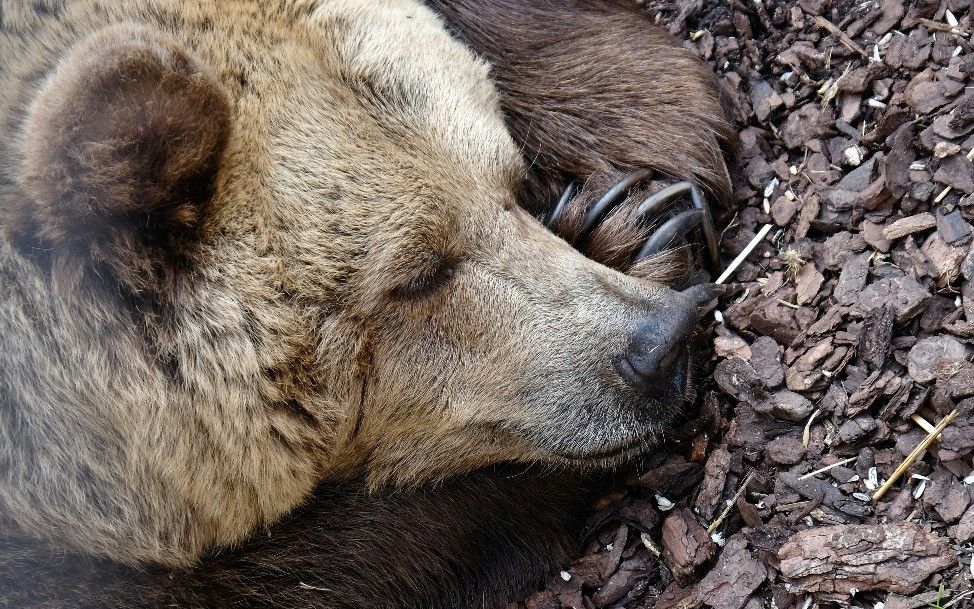 David G. Simmons 🇺🇦 on LinkedIn: Implement Hibernate Second-Level Cache ... David G. Simmons 🇺🇦 on LinkedIn: Implement Hibernate Second-Level Cache ...