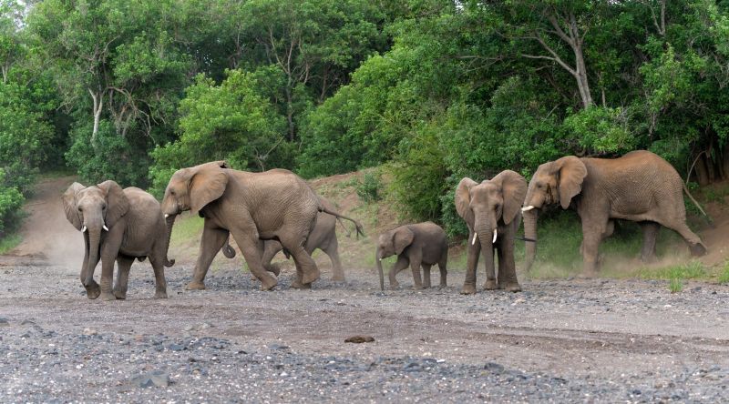 Understanding the LWLockTranche/buffer_mapping Wait Event in PostgreSQL ... Understanding the LWLockTranche/buffer_mapping Wait Event in PostgreSQL ...