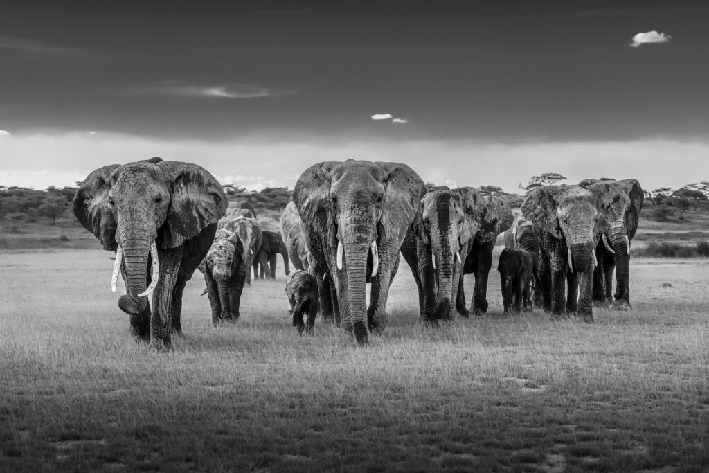 Shiv Iyer on LinkedIn: Optimizer Index Caching in PostgreSQL: Improving ... Shiv Iyer on LinkedIn: Optimizer Index Caching in PostgreSQL: Improving ...