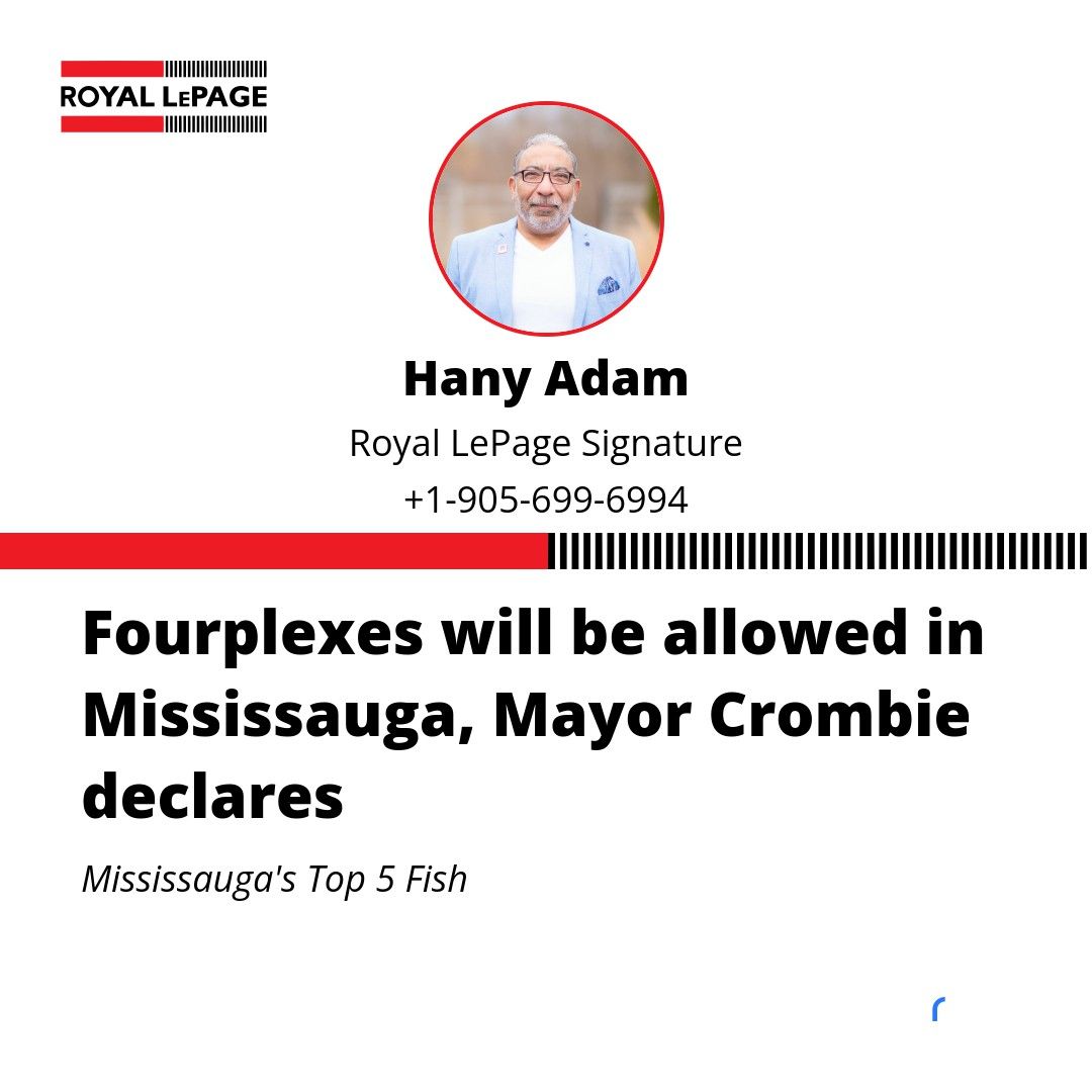 Hany Adam on LinkedIn: Fourplexes will be allowed in Mississauga, Mayor ... Hany Adam on LinkedIn: Fourplexes will be allowed in Mississauga, Mayor ...