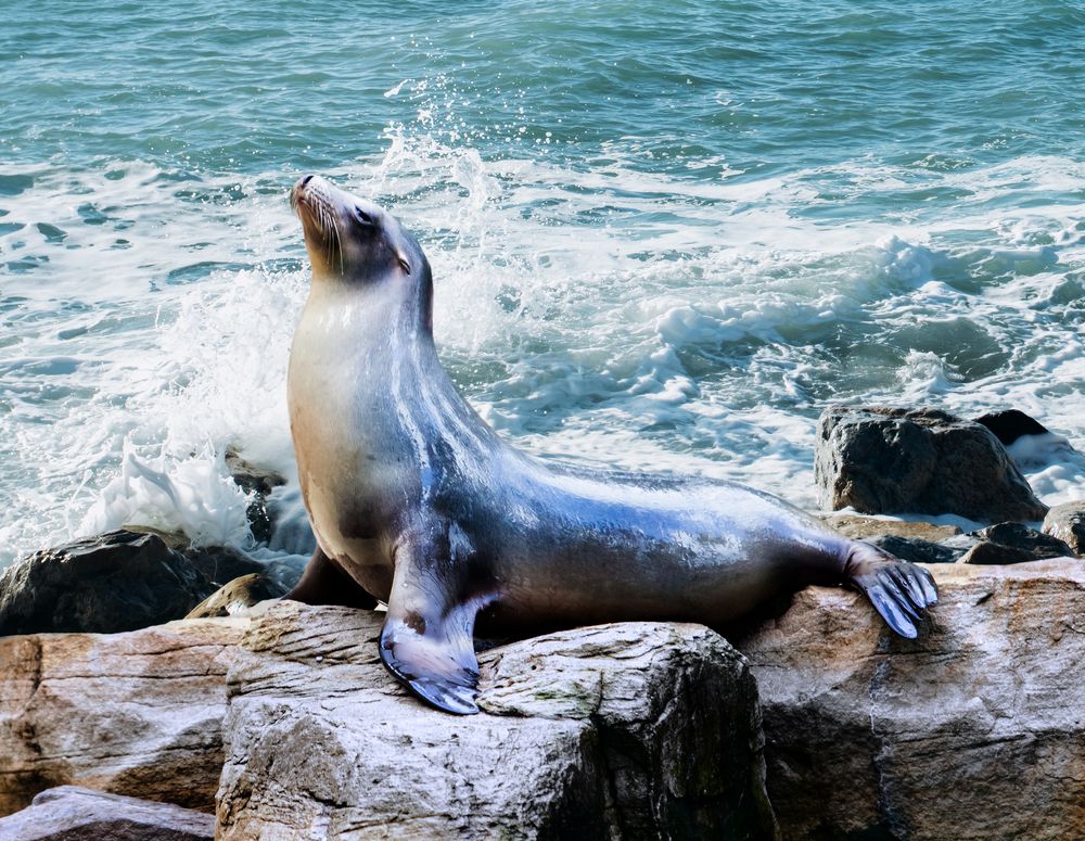 MinervaDB on LinkedIn: Exploring Cache Buffer Chains in MariaDB 11 ... MinervaDB on LinkedIn: Exploring Cache Buffer Chains in MariaDB 11 ...
