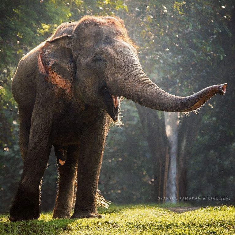 United States PostgreSQL Association on LinkedIn: Become a member United States PostgreSQL Association on LinkedIn: Become a member