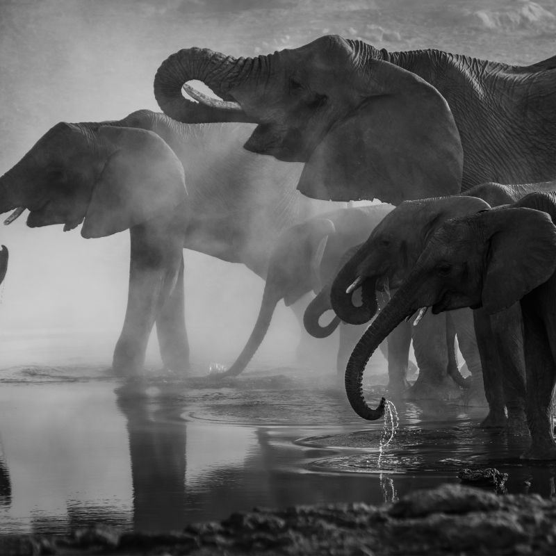 MinervaDB on LinkedIn: Understanding Buffer Header Queues in PostgreSQL ... MinervaDB on LinkedIn: Understanding Buffer Header Queues in PostgreSQL ...
