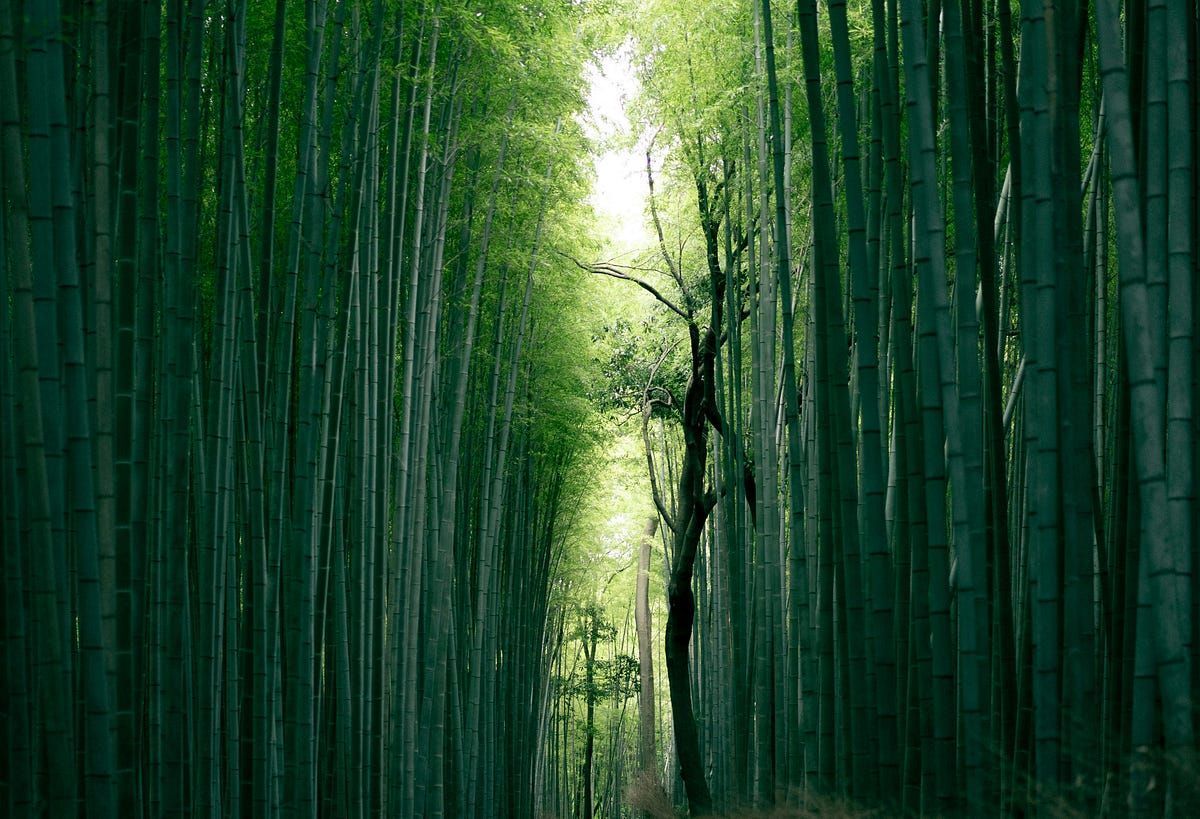 Towards Data Science on LinkedIn: Advanced Pandas Techniques for Data ... Towards Data Science on LinkedIn: Advanced Pandas Techniques for Data ...