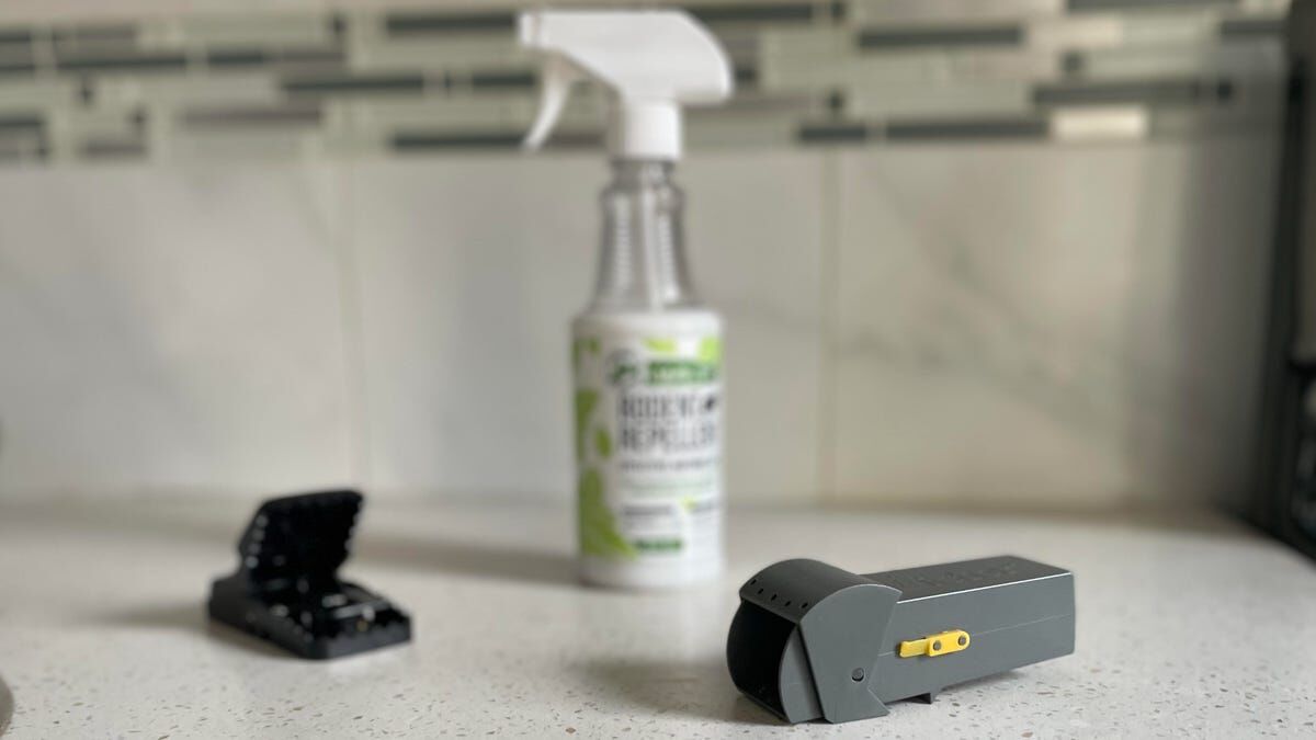 CNET on LinkedIn: I Tried 5 Ways to Get Rid of Mice. You Won't Believe ... CNET on LinkedIn: I Tried 5 Ways to Get Rid of Mice. You Won't Believe ...