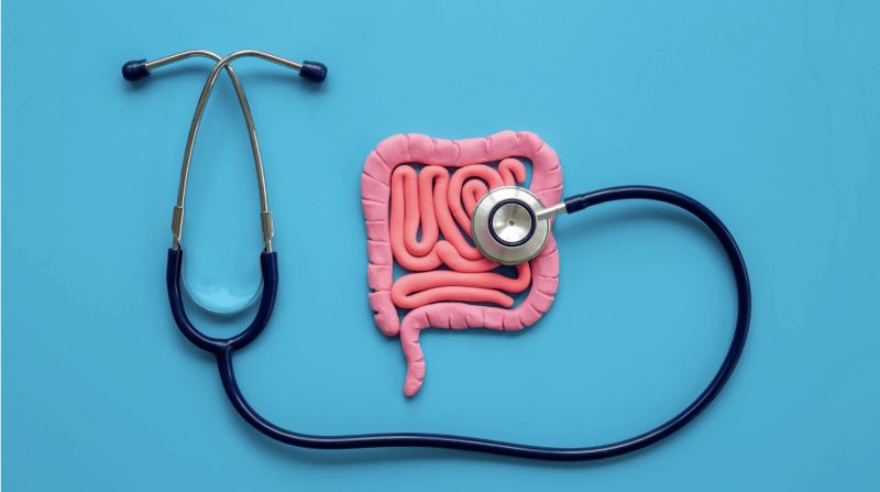 Irene Kok on LinkedIn: Understanding Gut Health Irene Kok on LinkedIn: Understanding Gut Health