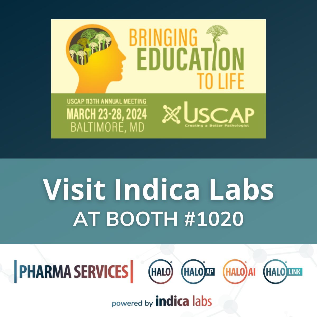 Indica Labs on LinkedIn: #haloap #digitalpathology #pathtwitter # ... Indica Labs on LinkedIn: #haloap #digitalpathology #pathtwitter # ...