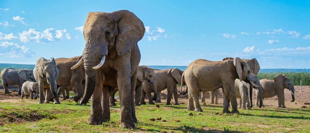 MinervaDB on LinkedIn: Optimizing PostgreSQL for High UPDATE/DELETE ... MinervaDB on LinkedIn: Optimizing PostgreSQL for High UPDATE/DELETE ...