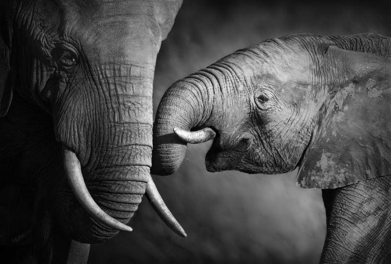 Shiv Iyer on LinkedIn: Boosting PostgreSQL Performance: Configuring ... Shiv Iyer on LinkedIn: Boosting PostgreSQL Performance: Configuring ...