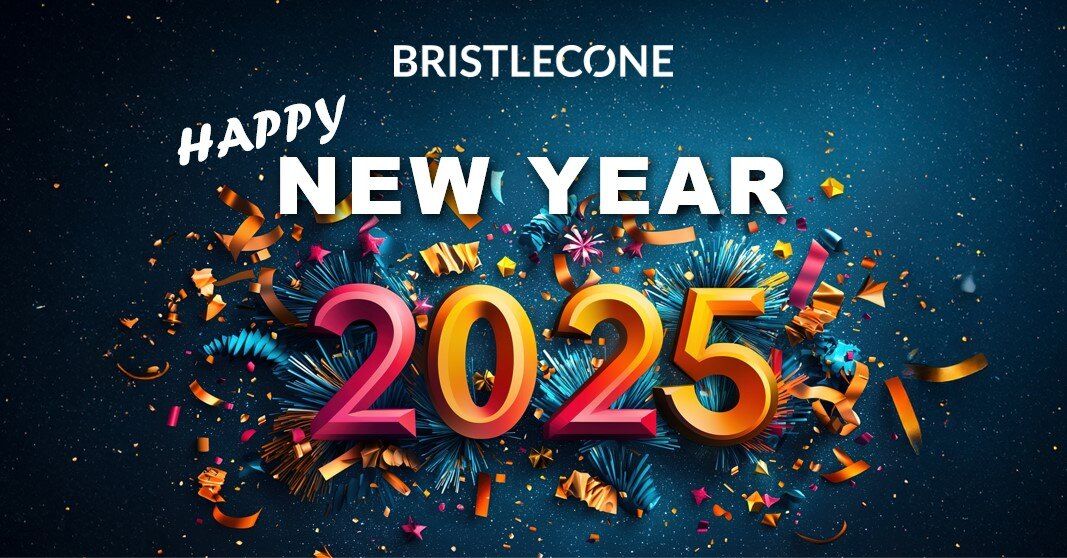 Bristlecone on LinkedIn: #bristlecone #happy2024 #happynewyear #supplychain Bristlecone on LinkedIn: #bristlecone #happy2024 #happynewyear #supplychain