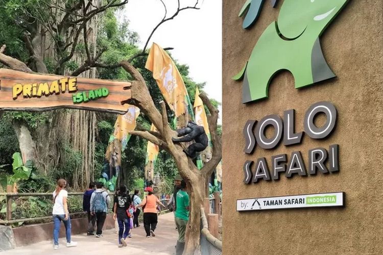 MOESLIM CHOICE on LinkedIn: Bunuh Diri di Taman, Bintang Korea Lee Sun ... MOESLIM CHOICE on LinkedIn: Bunuh Diri di Taman, Bintang Korea Lee Sun ...