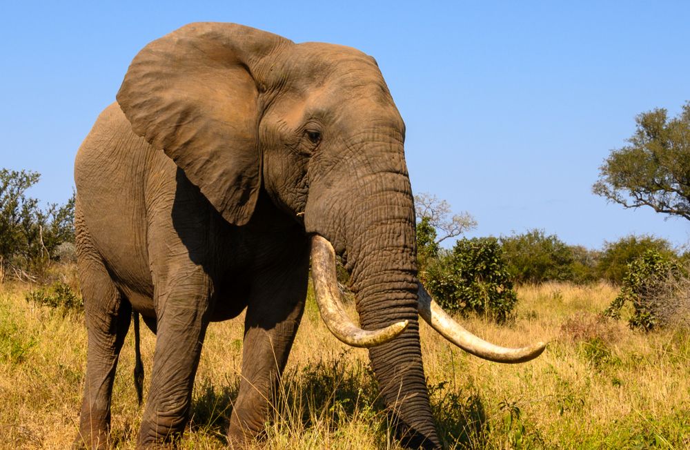 Shiv Iyer on LinkedIn: Optimizing PostgreSQL 16 Performance with Auto ... Shiv Iyer on LinkedIn: Optimizing PostgreSQL 16 Performance with Auto ...