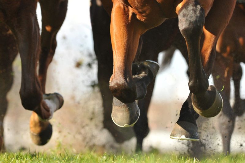 Shanna Damien on LinkedIn: Case Study: Breakdowns & Breeding ... Shanna Damien on LinkedIn: Case Study: Breakdowns & Breeding ...