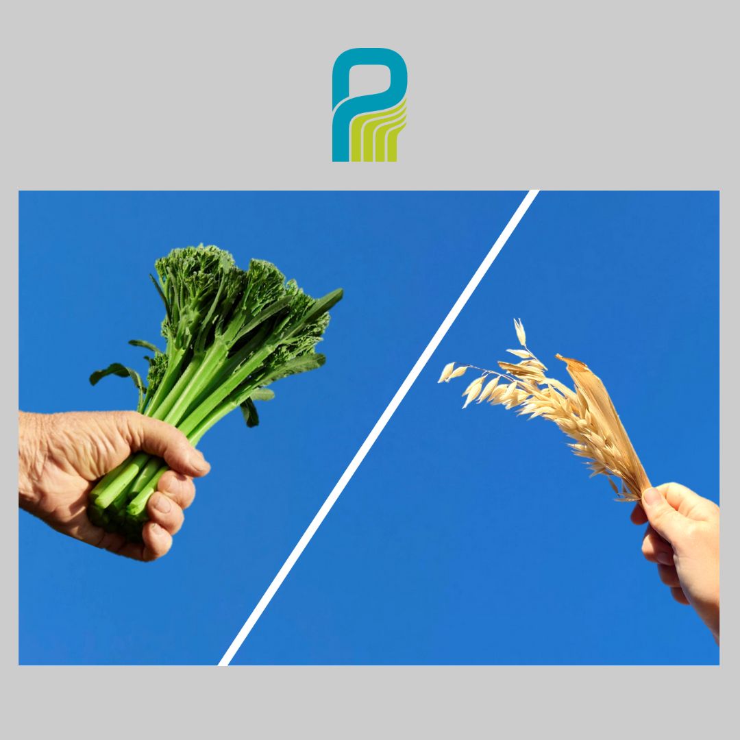 Planfarm on LinkedIn: Maximising efficiency, maximising success! At ... Planfarm on LinkedIn: Maximising efficiency, maximising success! At ...