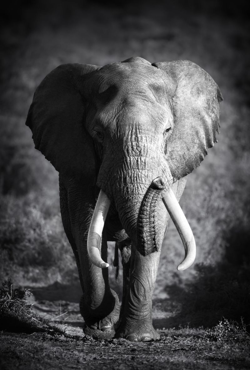 Shiv Iyer on LinkedIn: How PostgreSQL Locking Works with FOR UPDATE ... Shiv Iyer on LinkedIn: How PostgreSQL Locking Works with FOR UPDATE ...
