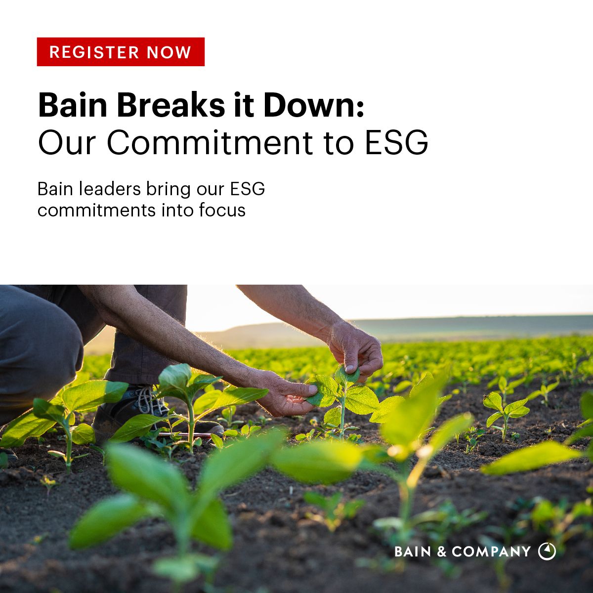 Gloriana Gomez on LinkedIn: Bain Gloriana Gomez on LinkedIn: Bain
