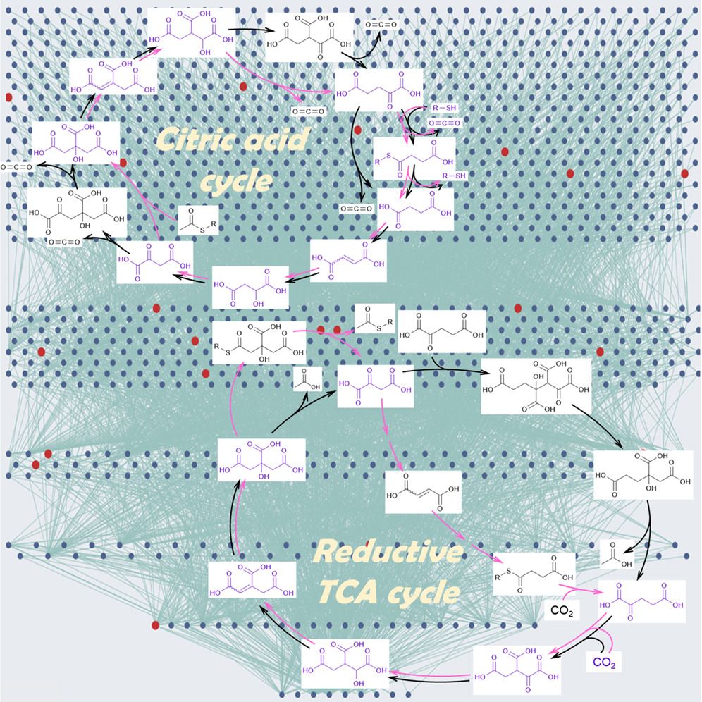 Cell Press on LinkedIn: Emergence of metabolic-like cycles in ... Cell Press on LinkedIn: Emergence of metabolic-like cycles in ...