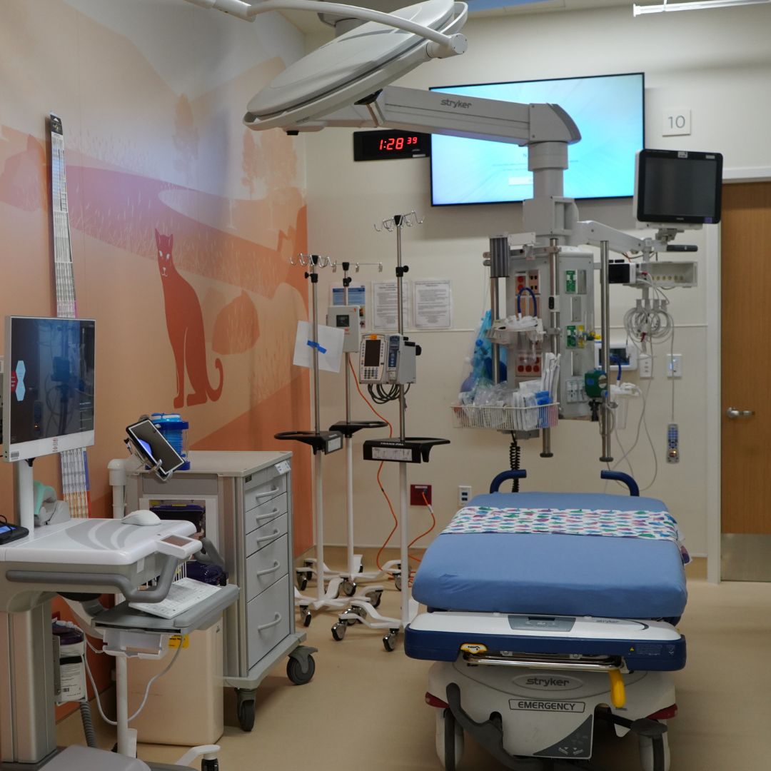 Stanford University Department of Emergency Medicine on LinkedIn: # ... Stanford University Department of Emergency Medicine on LinkedIn: # ...