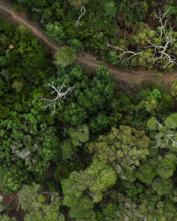 Melbourne Water on LinkedIn: Mornington Peninsula Intrepid Landcare group Melbourne Water on LinkedIn: Mornington Peninsula Intrepid Landcare group