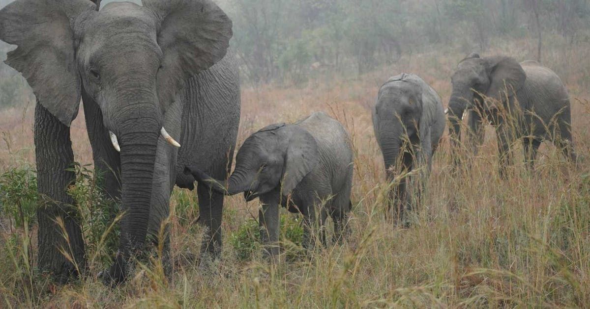 Shiv Iyer on LinkedIn: Implementing Audit Logs in PostgreSQL Shiv Iyer on LinkedIn: Implementing Audit Logs in PostgreSQL