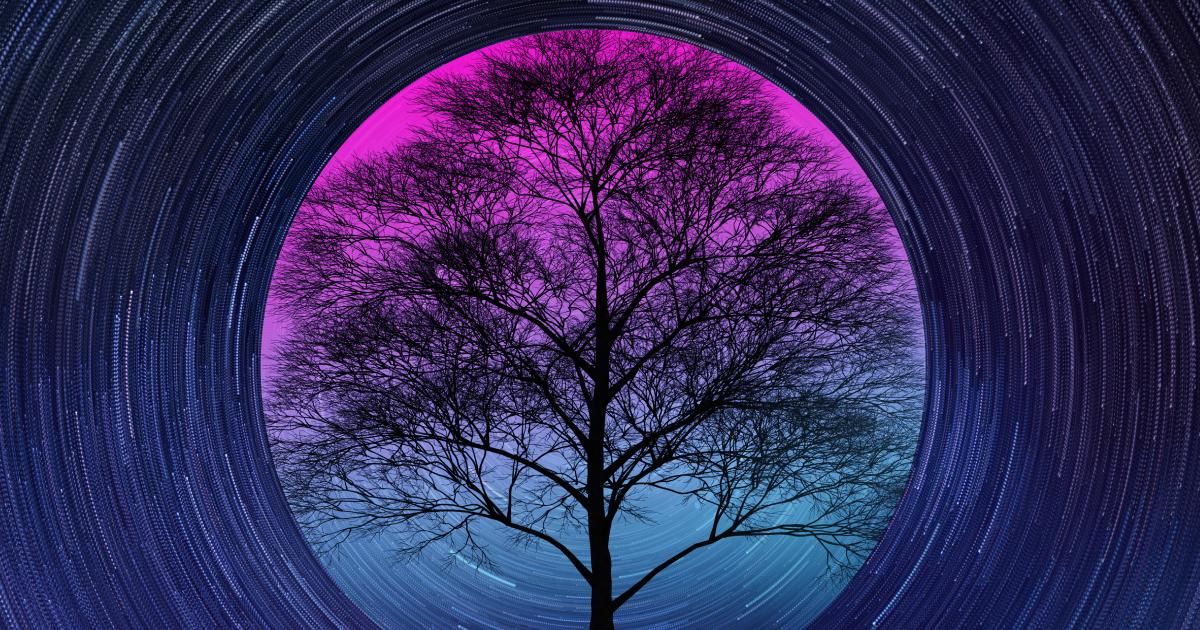 Complete Guide to Distributed Tracing | Jackie Lipnicki Finlay Complete Guide to Distributed Tracing | Jackie Lipnicki Finlay