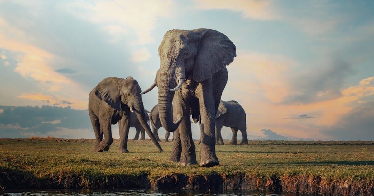MinervaSQL on LinkedIn: PostgreSQL Space Optimization: Effective Tactics MinervaSQL on LinkedIn: PostgreSQL Space Optimization: Effective Tactics