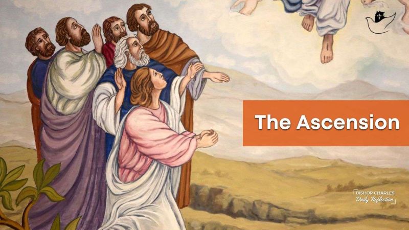 Diocese Of Darwin on LinkedIn: The Ascension Diocese Of Darwin on LinkedIn: The Ascension