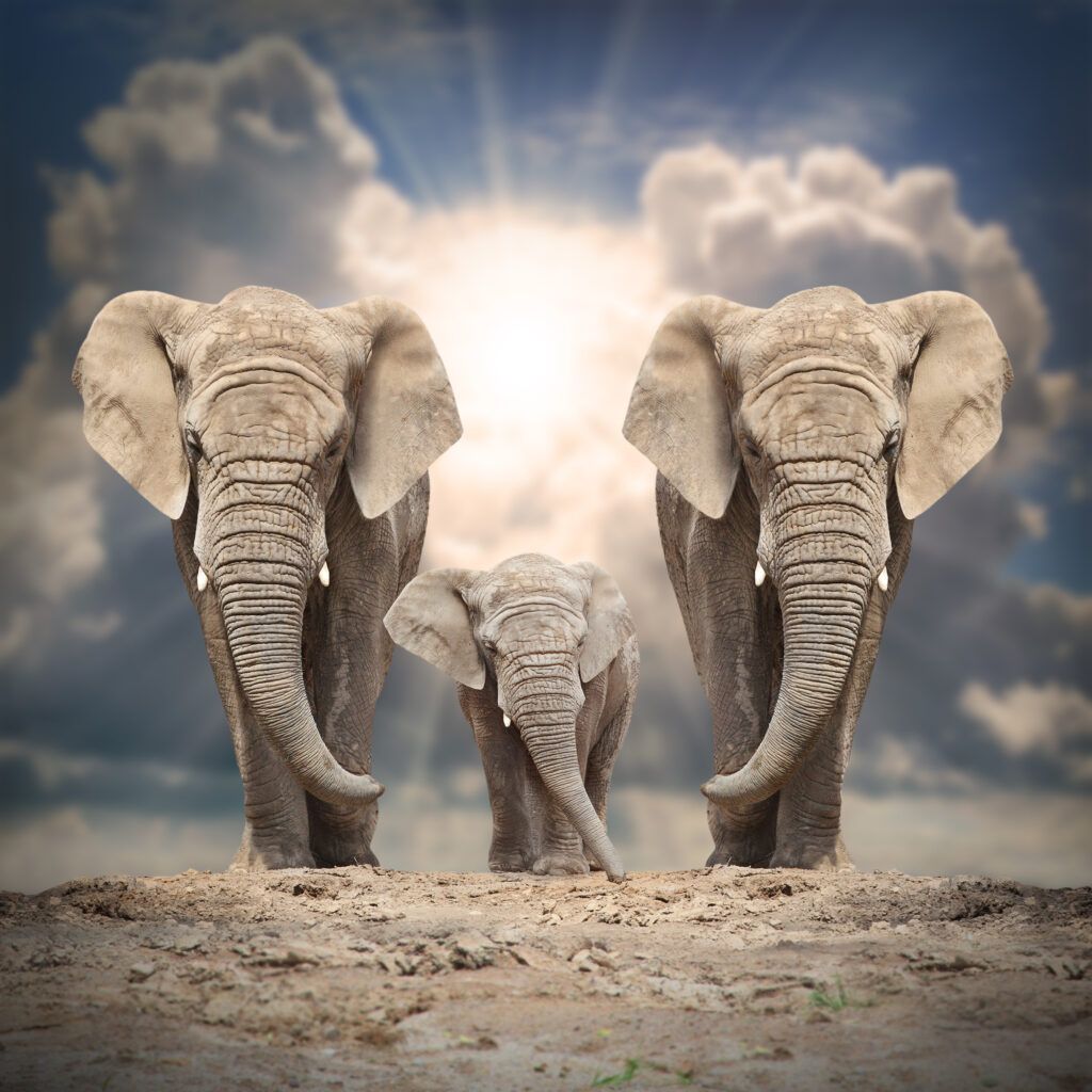 Postgres Women India on LinkedIn: Implement online schema change in ... Postgres Women India on LinkedIn: Implement online schema change in ...