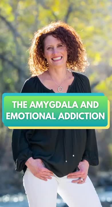 What is our amygdala and why does it matter? | Pallas Dame Integrative ... What is our amygdala and why does it matter? | Pallas Dame Integrative ...