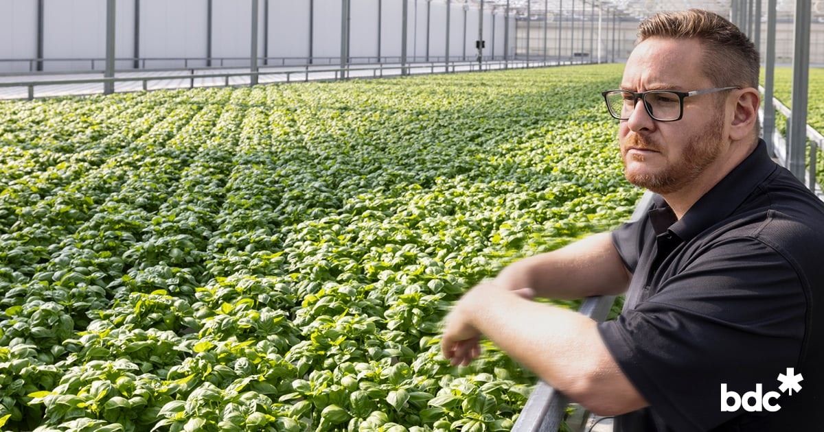 Shaharyar Ghauri on LinkedIn: Greenhouse company appears to solve ... Shaharyar Ghauri on LinkedIn: Greenhouse company appears to solve ...