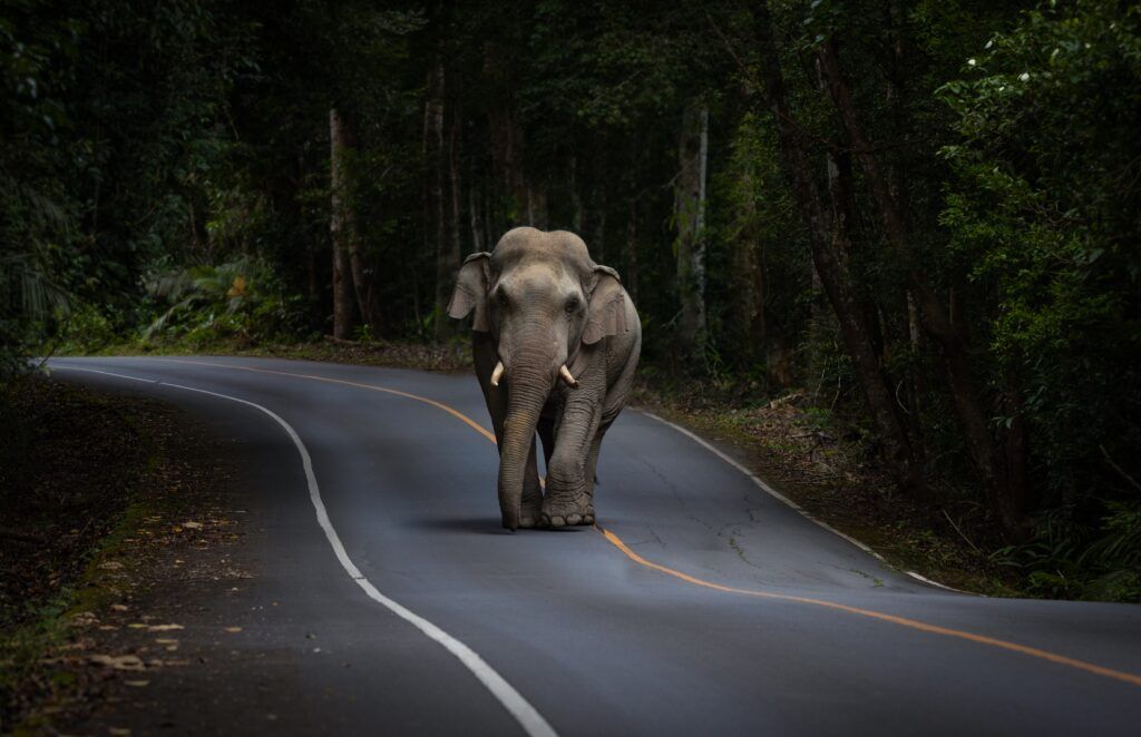 Enhancing Query Performance with Parallel Hash Joins in PostgreSQL ... Enhancing Query Performance with Parallel Hash Joins in PostgreSQL ...