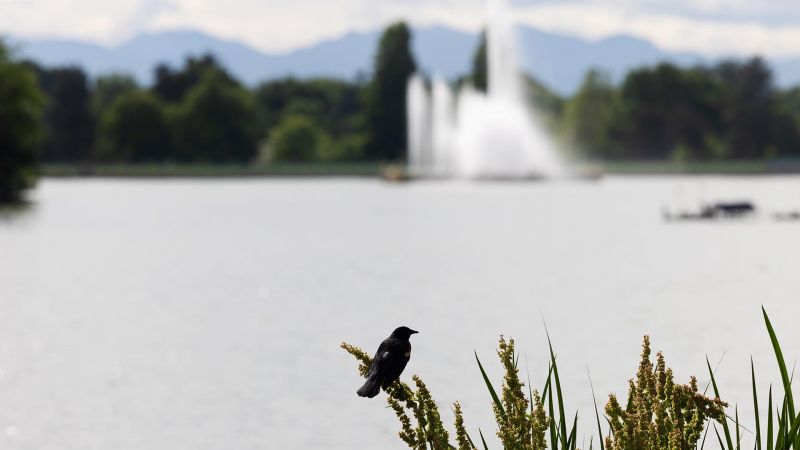 Metropolitan State University of Denver on LinkedIn: Denver After Dawn ... Metropolitan State University of Denver on LinkedIn: Denver After Dawn ...
