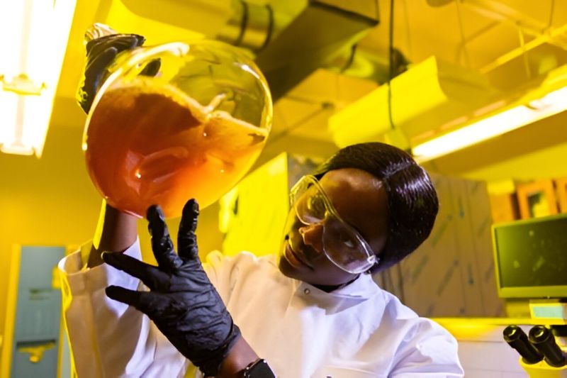 Study proposes streamlined approach to developing cancer drugs | Phys.org Study proposes streamlined approach to developing cancer drugs | Phys.org